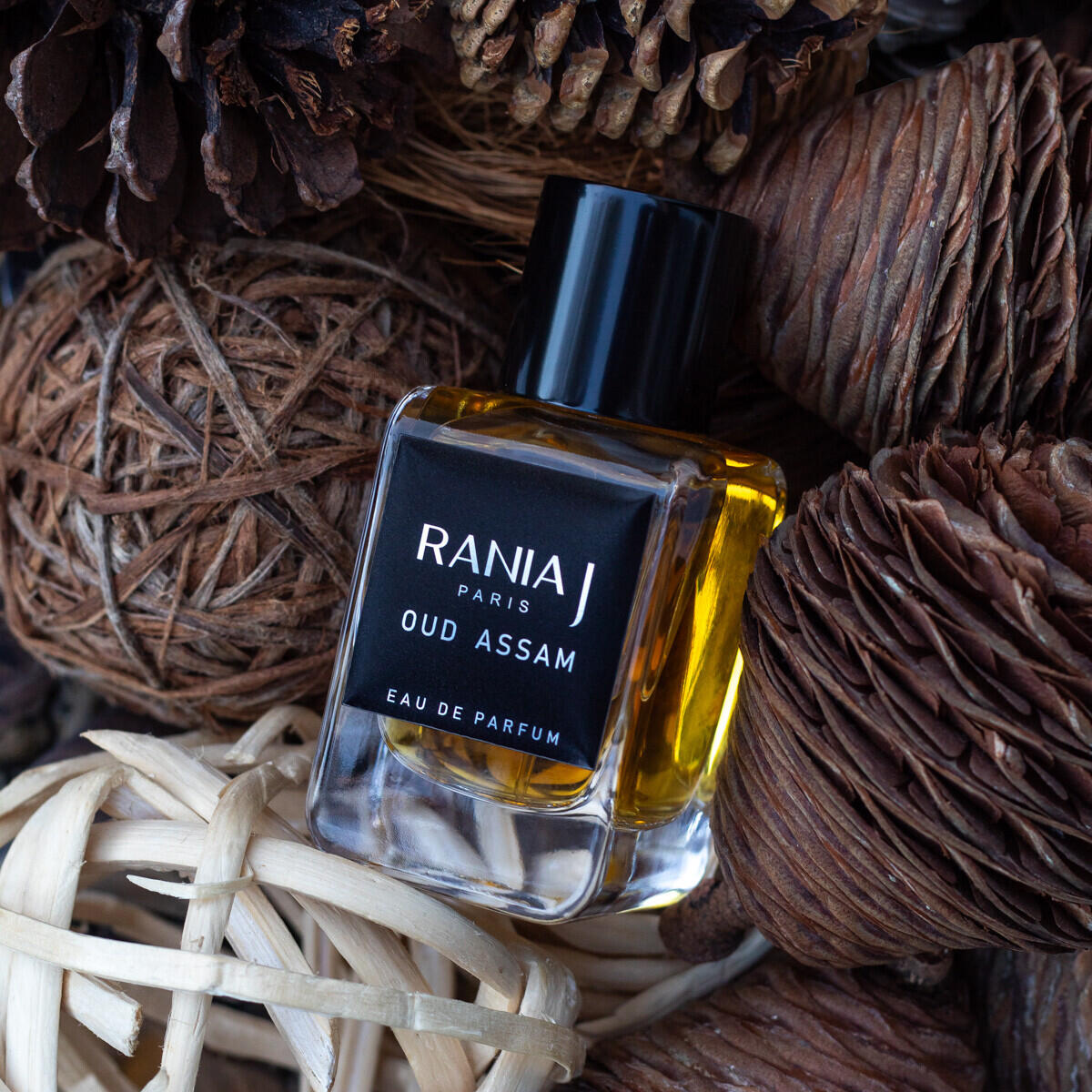 Oud Assam Rania J perfume - a fragrance for women and men 2013