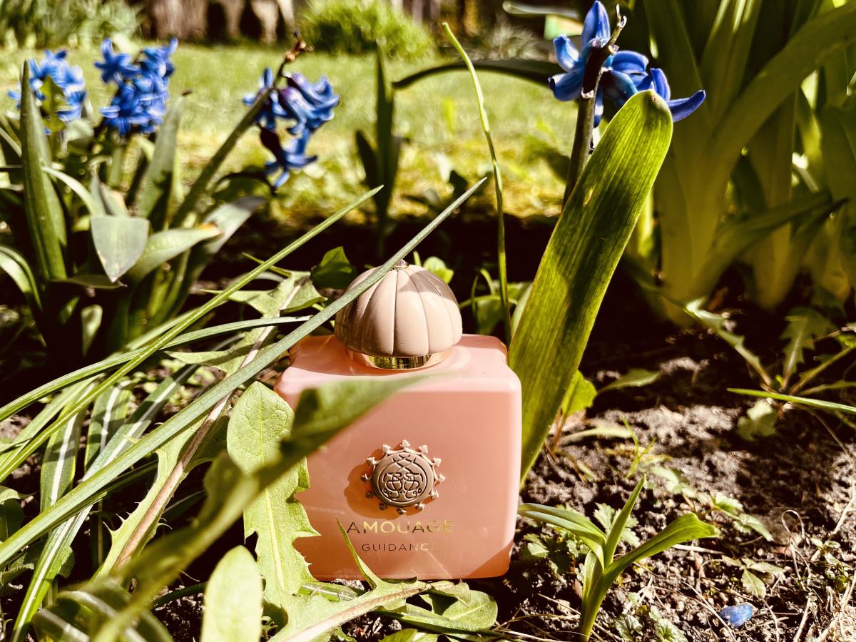 Guidance Amouage perfume - a new fragrance for women and men 2023