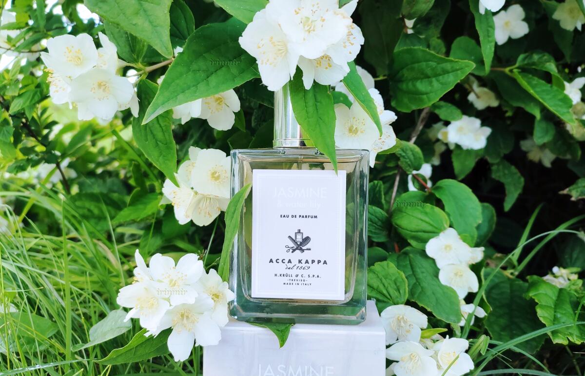 Jasmine & Water Lily Acca Kappa perfume - a fragrance for women and men ...