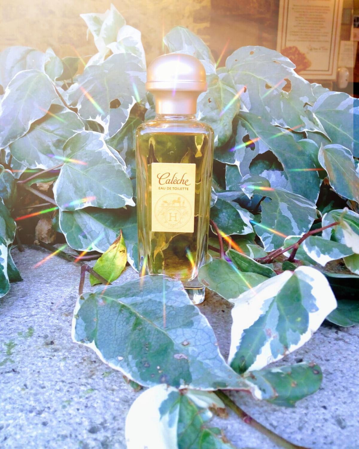 Caleche Hermès perfume - a fragrance for women 1961