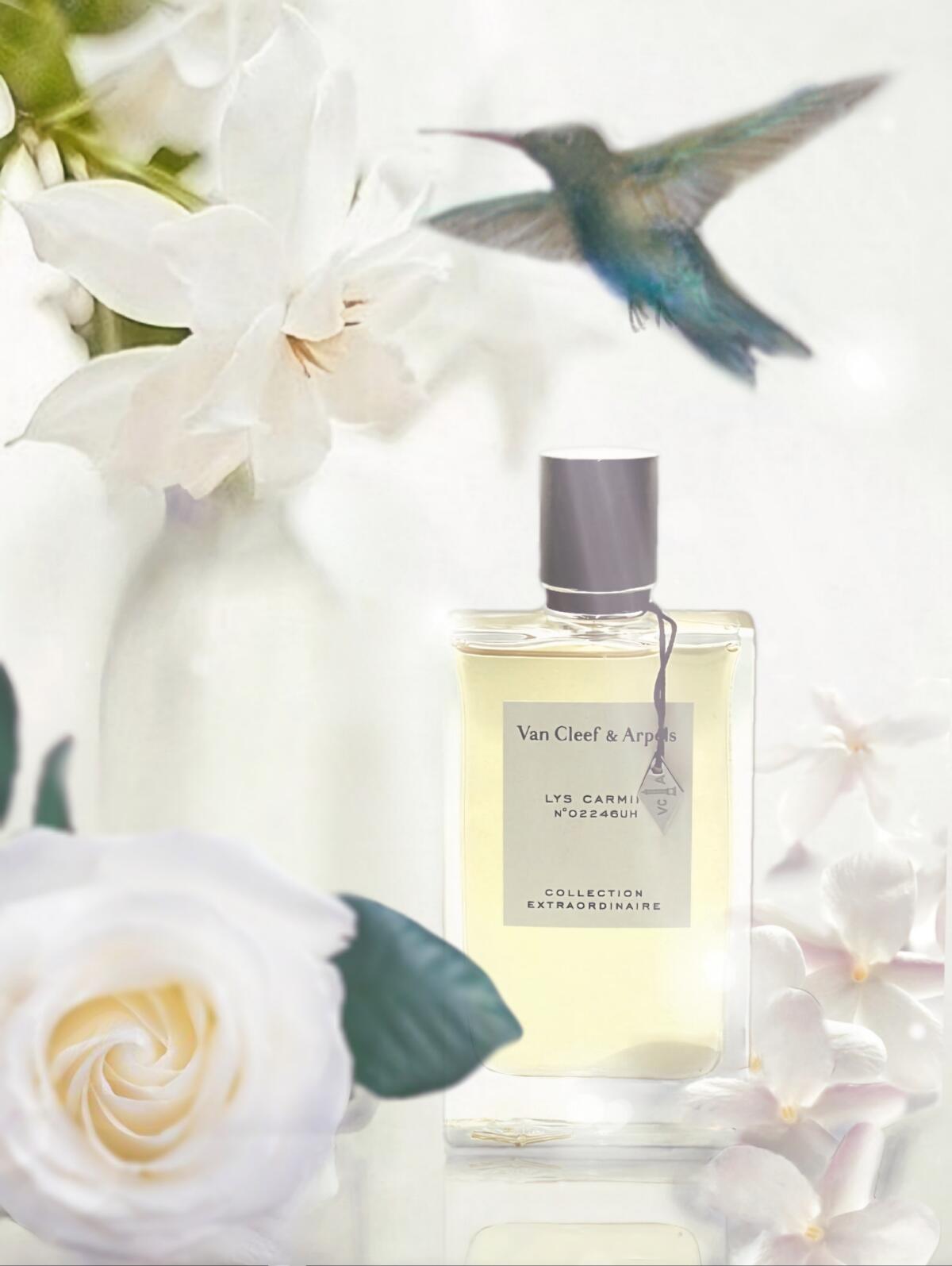 Lys Carmin Van Cleef & Arpels perfume - a fragrance for women 2009
