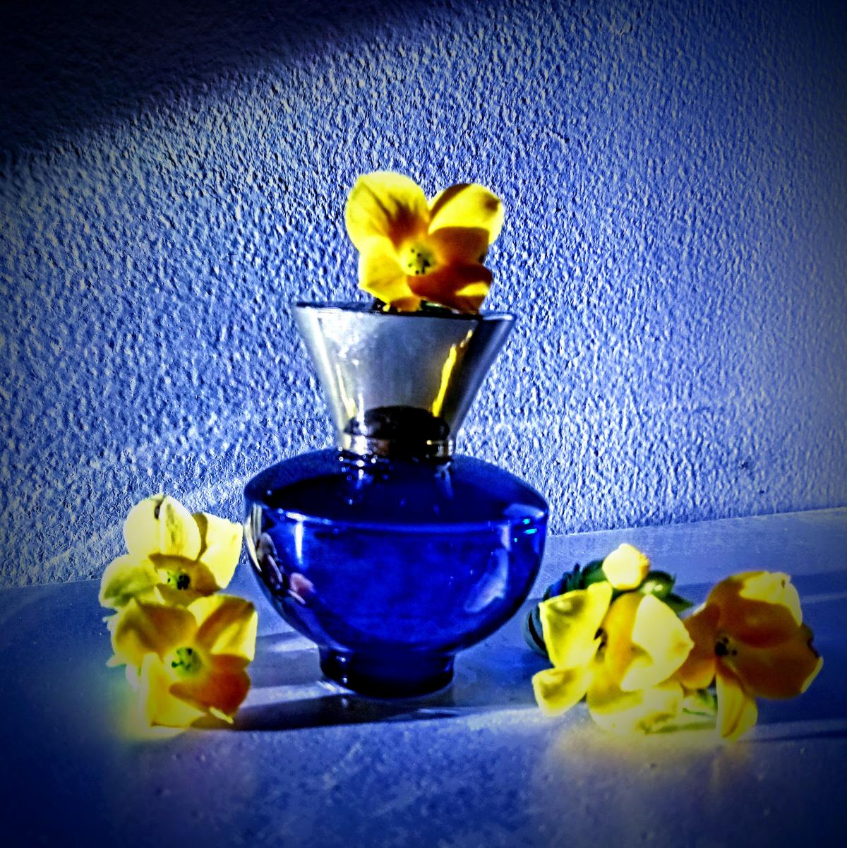 Versace Pour Femme Dylan Blue Versace perfume - a fragrance for women 2017