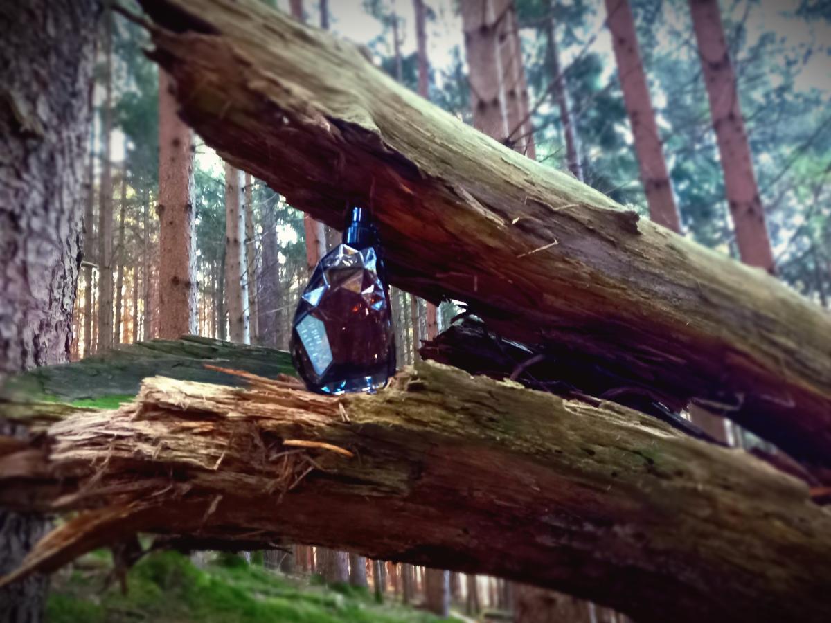 Stone For Him Replay cologne - a fragrance for men 2015