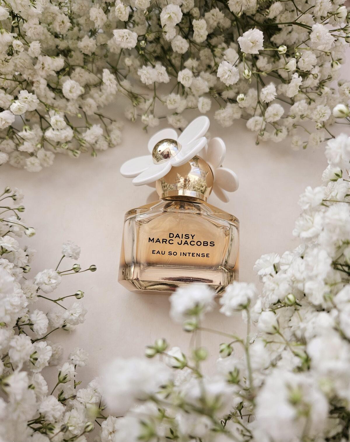 Daisy Eau So Intense Marc Jacobs perfume - a fragrance for women 2021