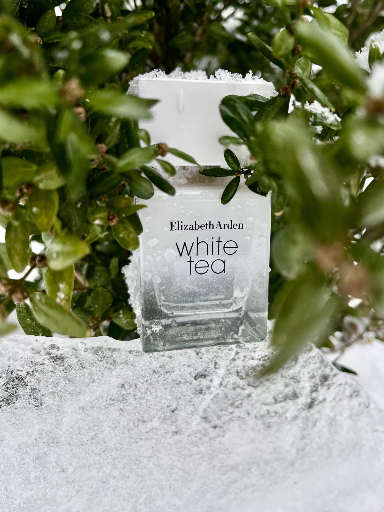 White Tea Elizabeth Arden perfume - a fragrance for women 2017