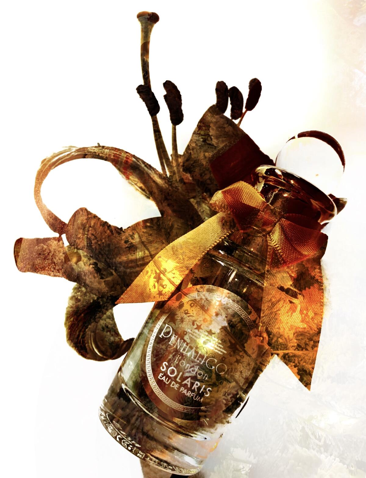 Solaris Penhaligon's perfume - a fragrance for women and men 2023