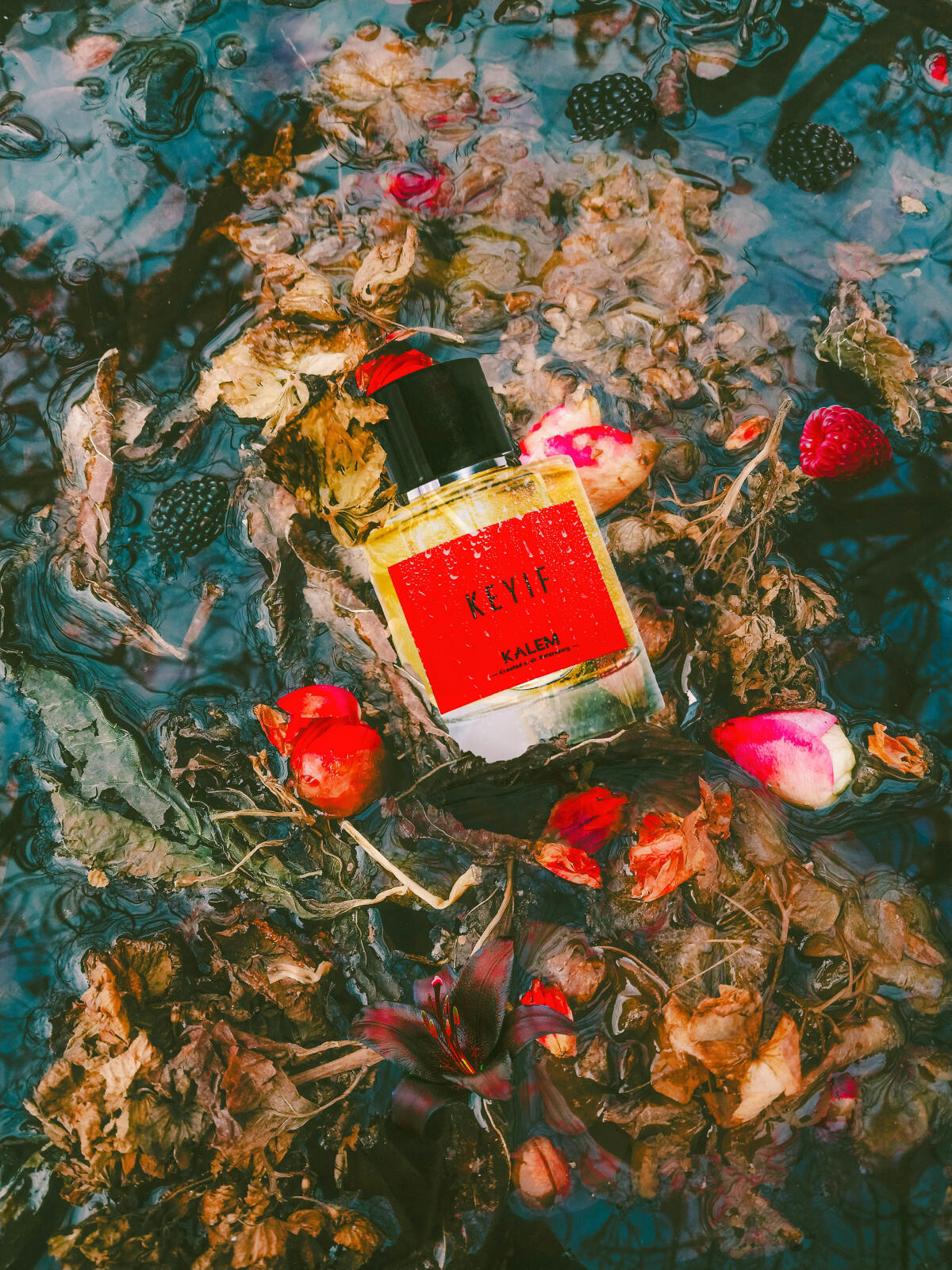 Keyif Kalem fragancia - una nuevo fragancia para Hombres y Mujeres 2024