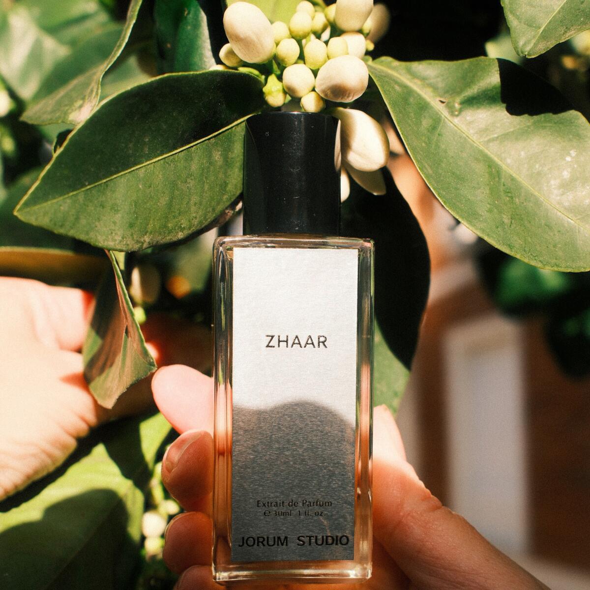 Zhaar Jorum Studio perfume - a new fragrance for women and men 2024