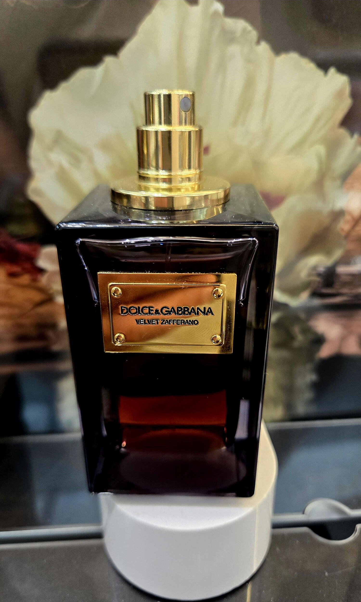 Velvet Zafferano Dolce&Gabbana perfume - a new fragrance for women and ...