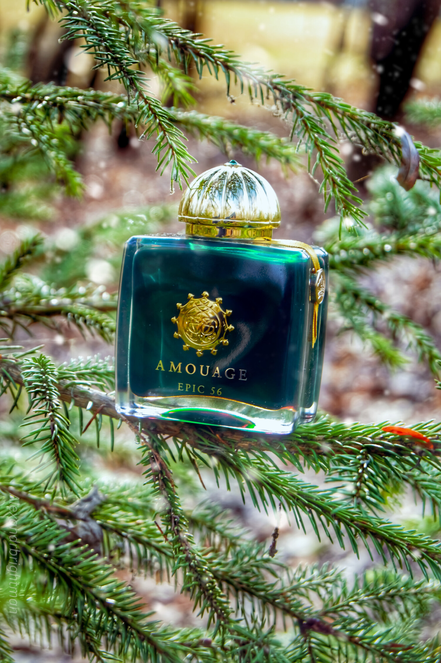 Epic 56 Woman Amouage perfume - a fragrance for women 2021