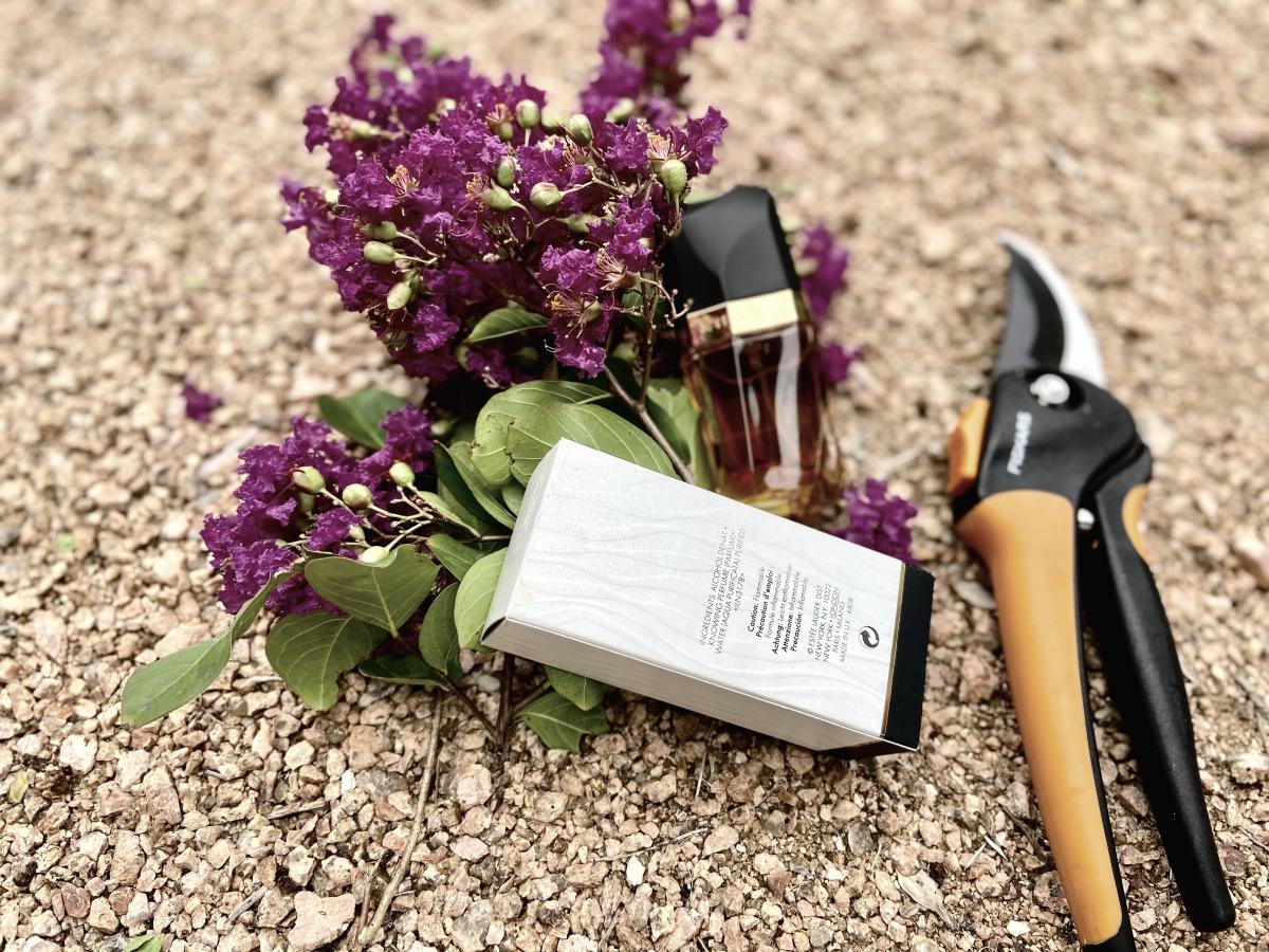 Knowing Estée Lauder perfume - a fragrance for women 1988