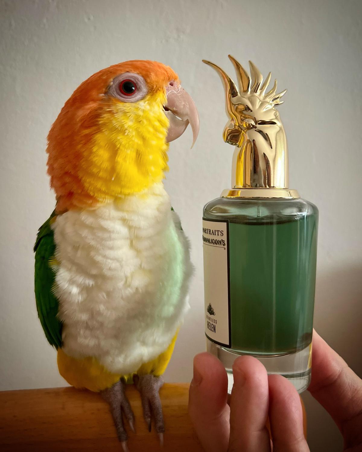 Heartless Helen Penhaligon's perfume - a fragrance for women 2019