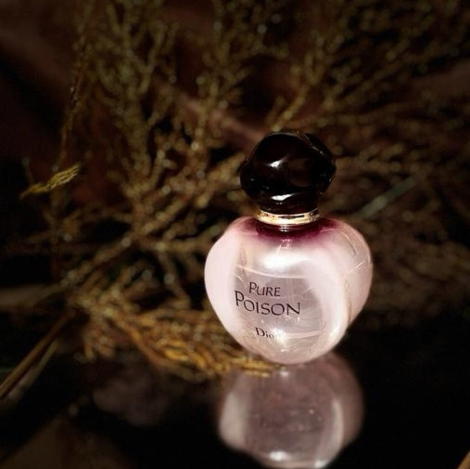 Pure Poison Dior perfume - a fragrance for women 2004