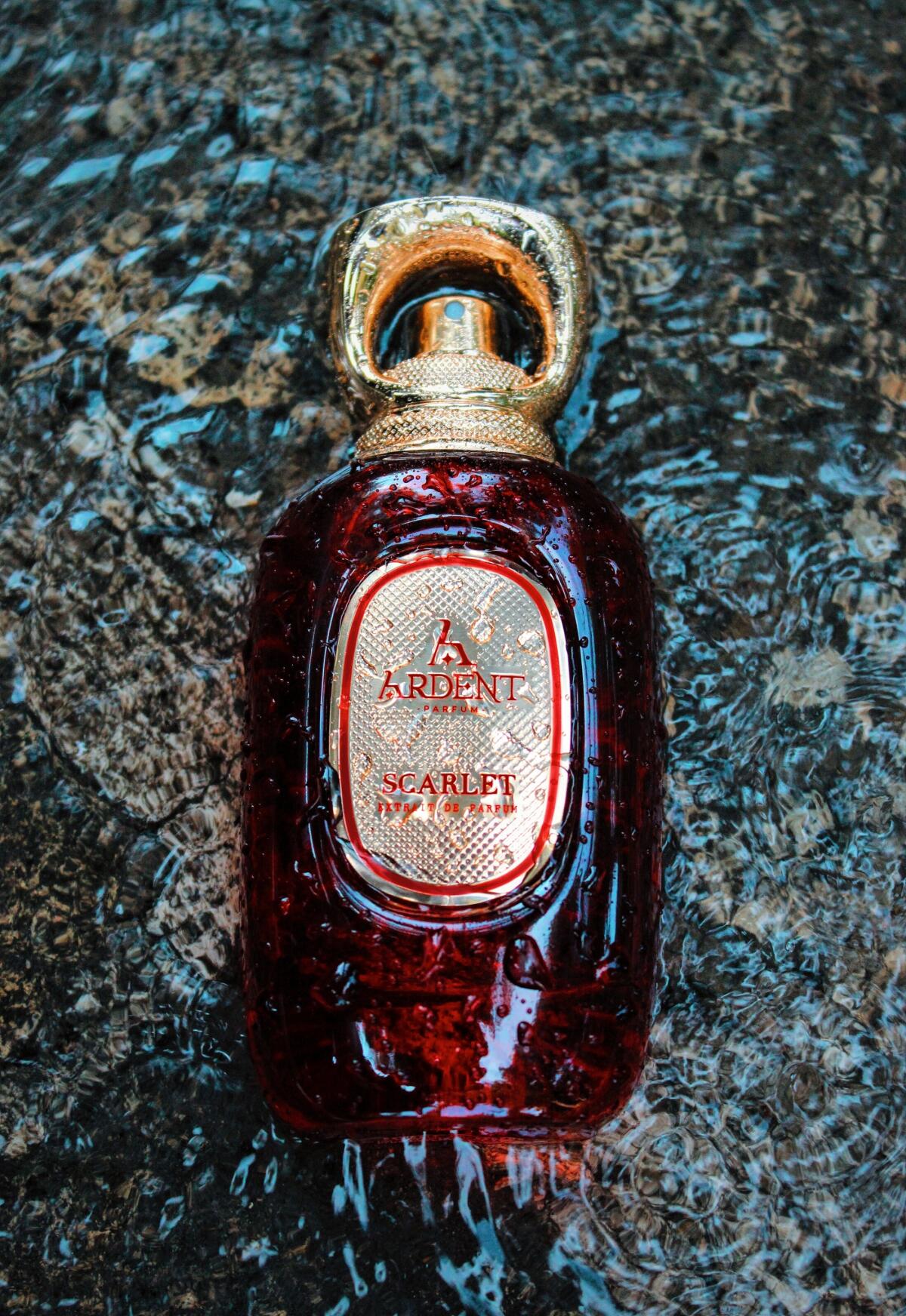 Scarlet Ardent Parfums perfume - a new fragrance for women and men 2024