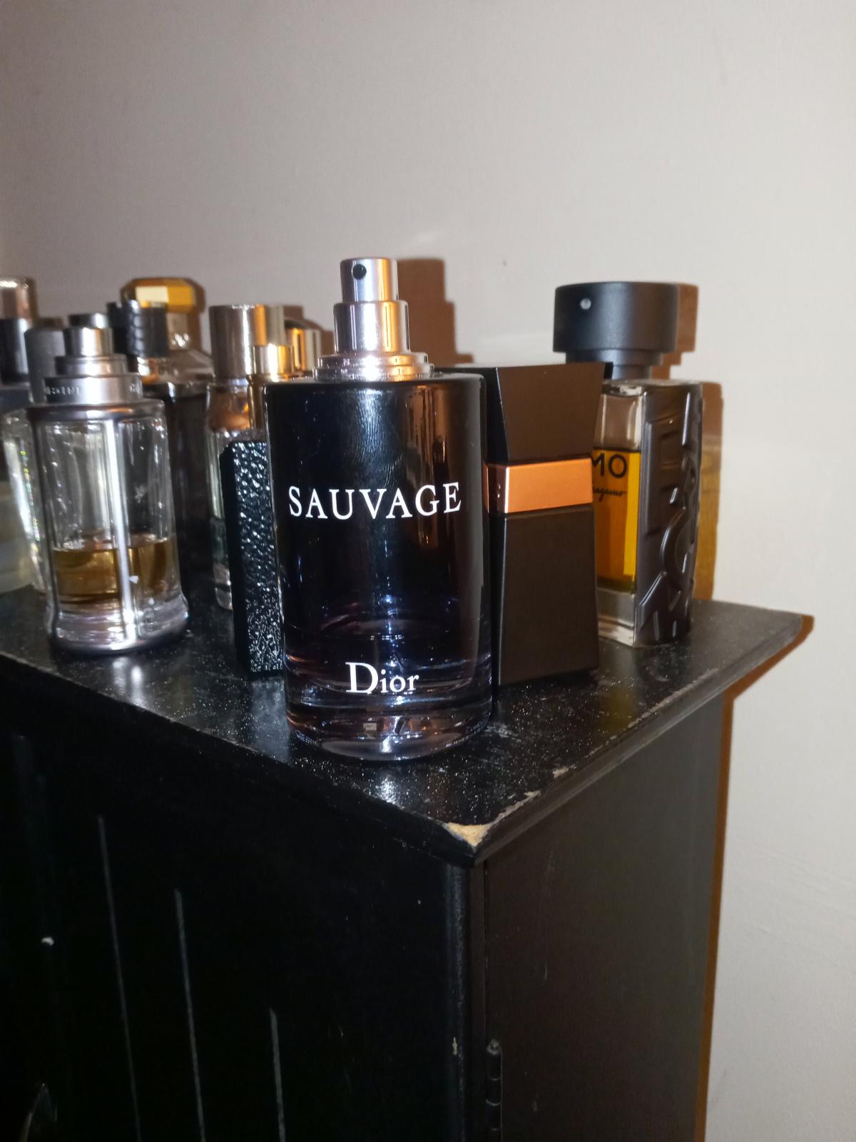 Sauvage Dior cologne - a fragrance for men 2015