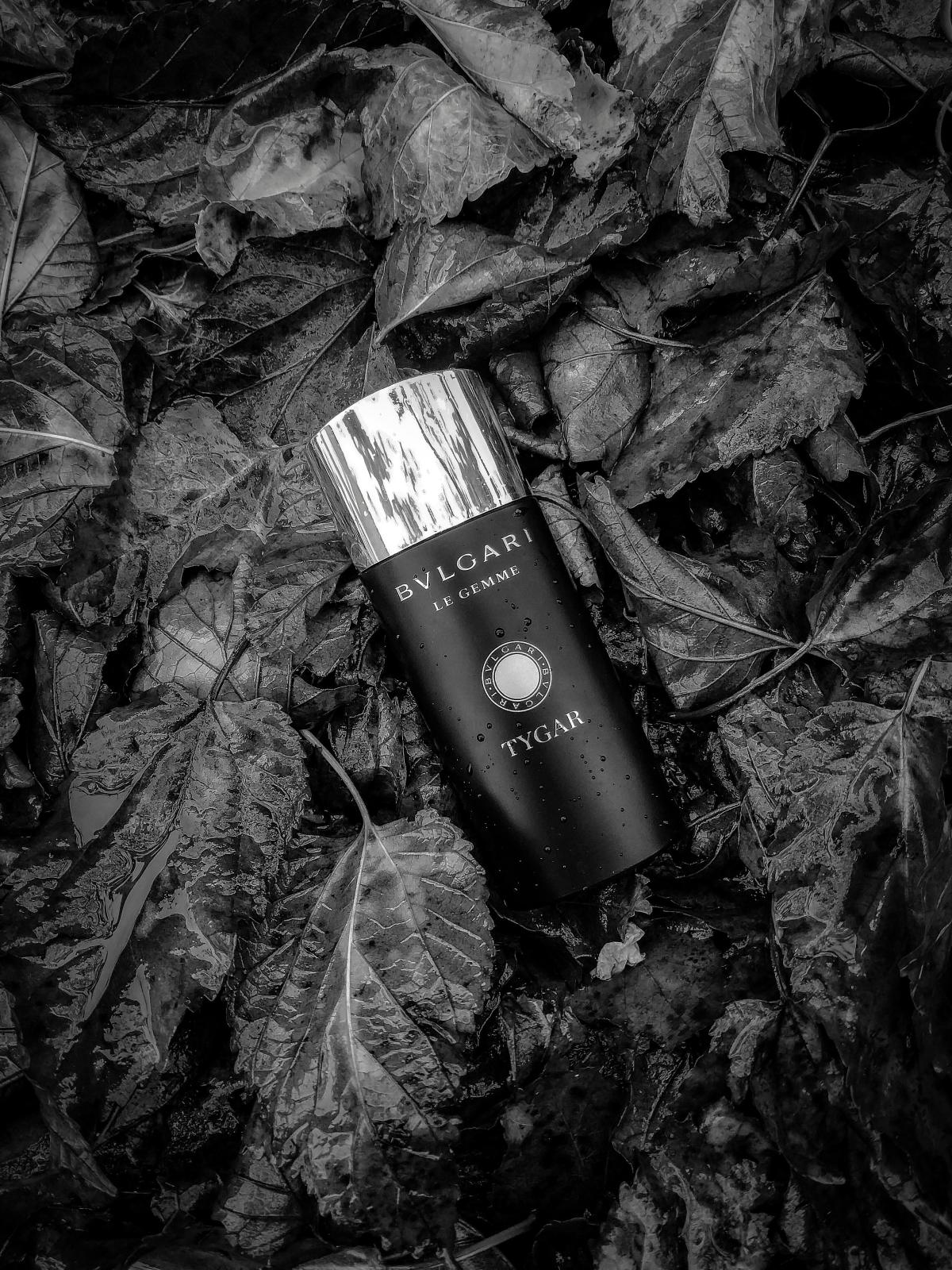 Tygar Bvlgari cologne - a fragrance for men 2016