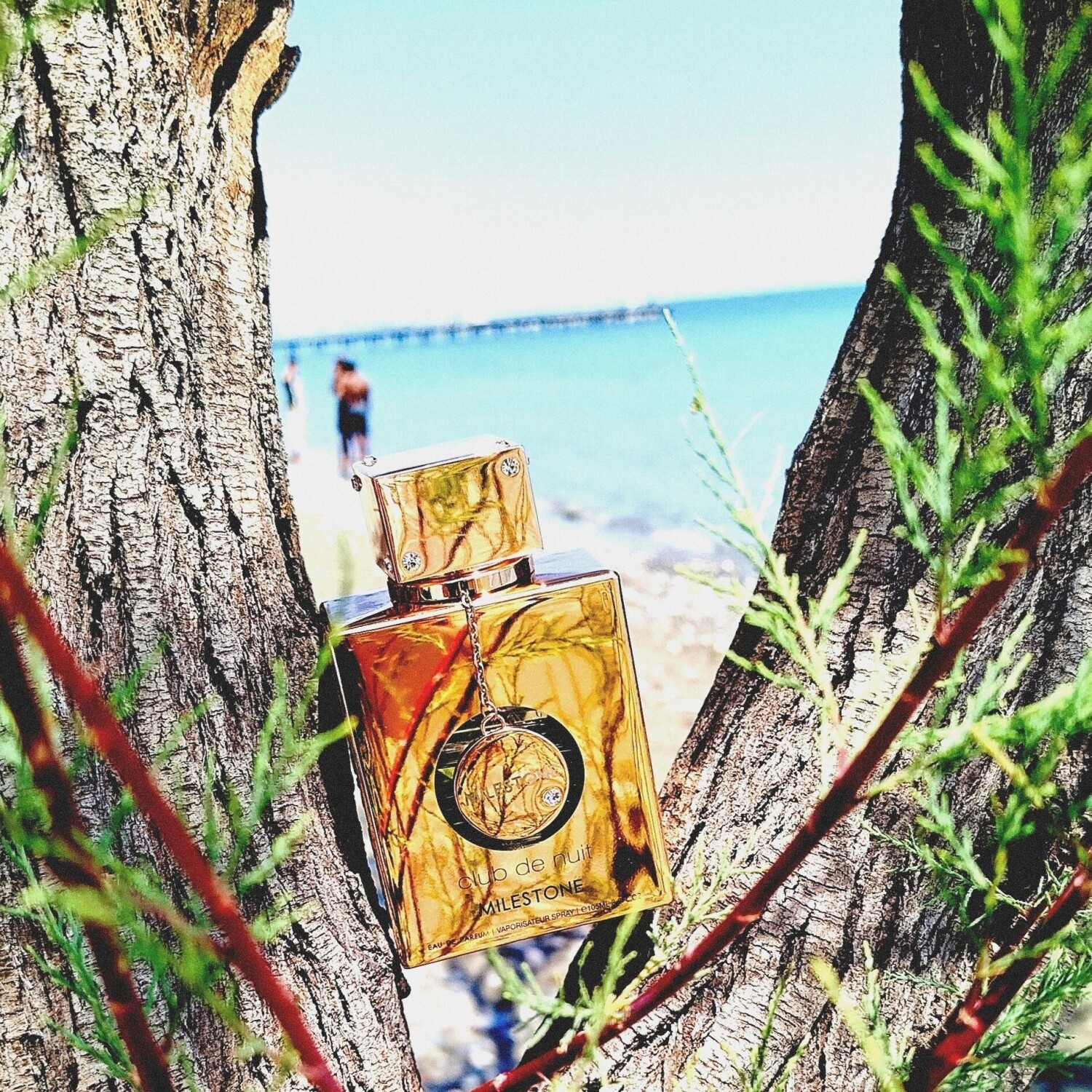 Club de Nuit Milestone Armaf perfume - a fragrance for women and men 2019