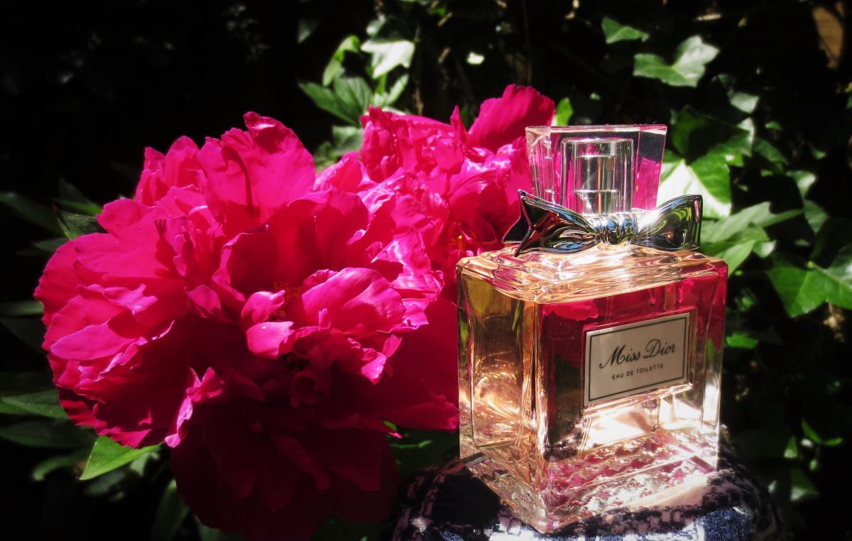 Miss Dior Eau de Toilette 2019 Dior perfume - a fragrance for women 2019