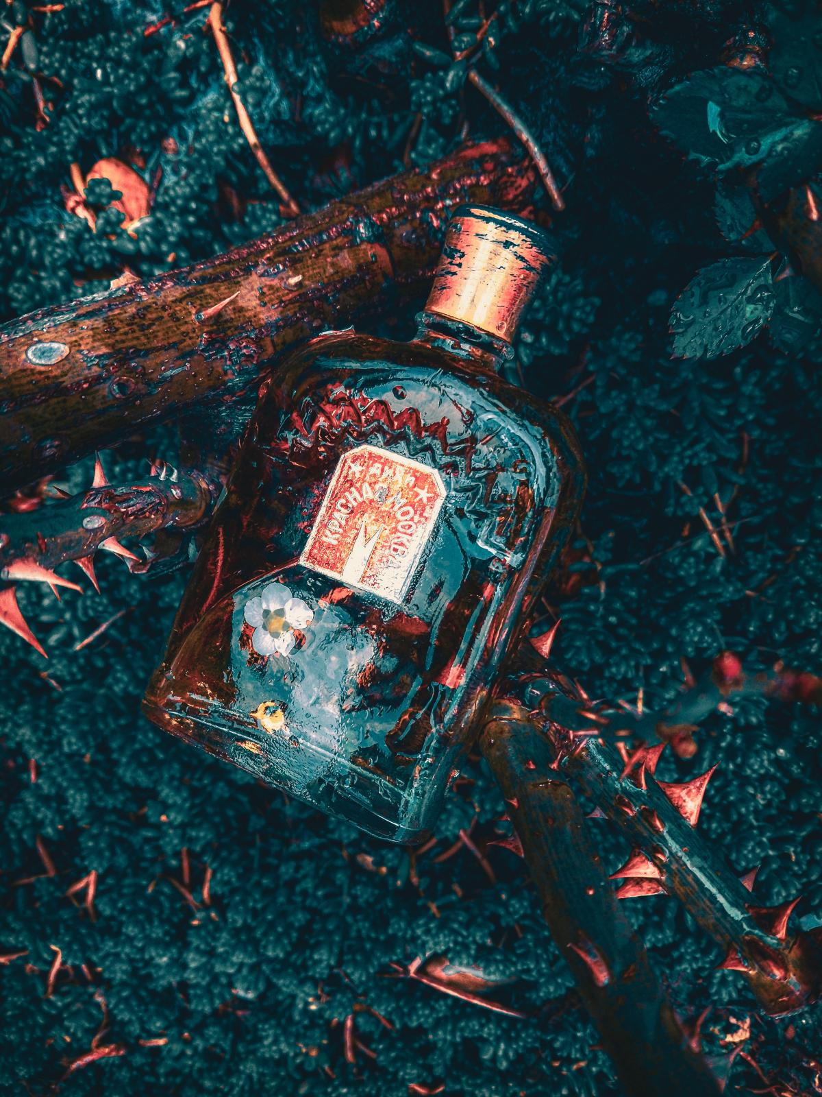 Красная Москва (Red Moscow) Новая Заря (The New Dawn) perfume - a ...