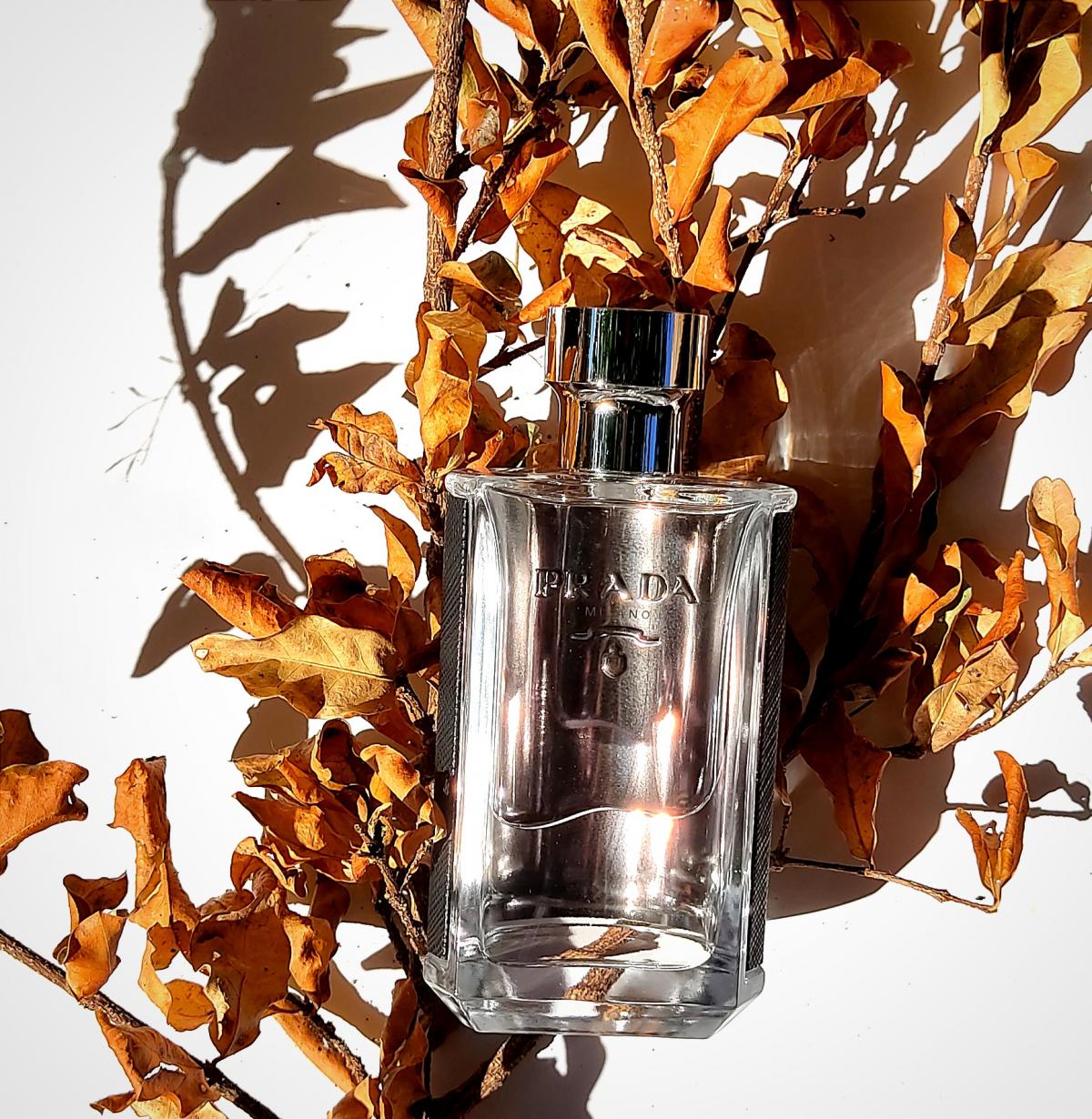 Prada L'Homme Prada cologne - a fragrance for men 2016