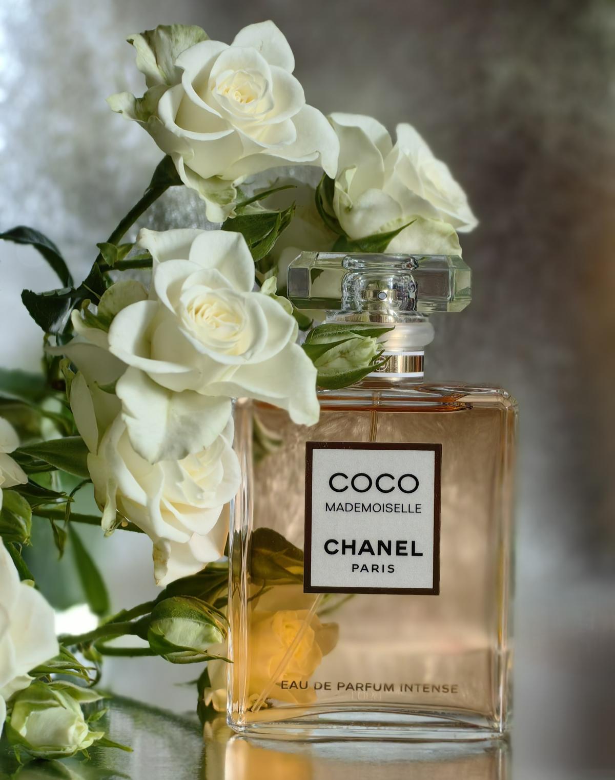 Coco Mademoiselle Intense Chanel perfume - a fragrance for women 2018