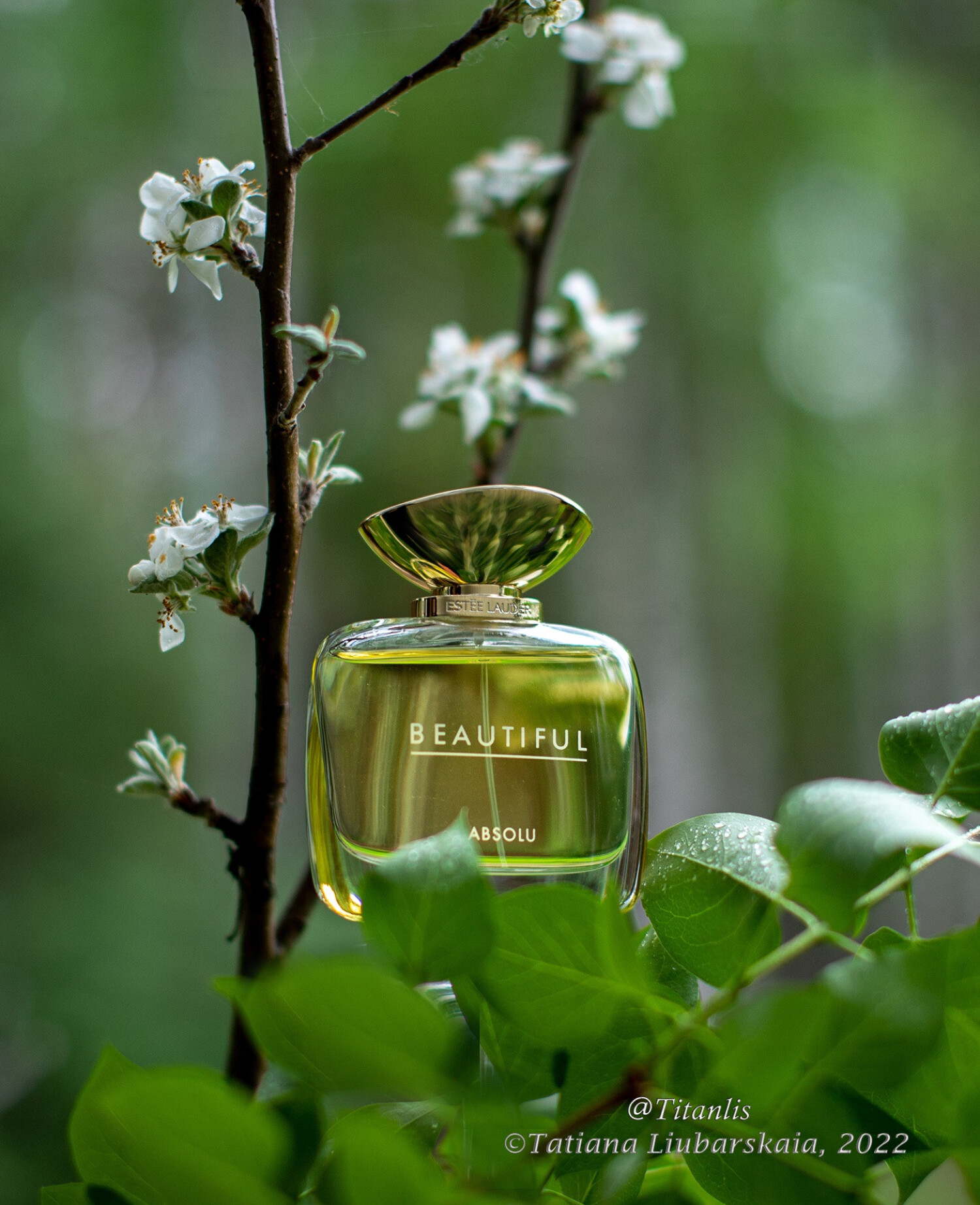 Beautiful Absolu Estée Lauder parfum - un parfum pour femme 2020