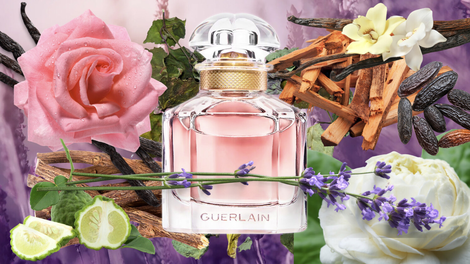 Mon Guerlain Guerlain perfume - a fragrance for women 2017