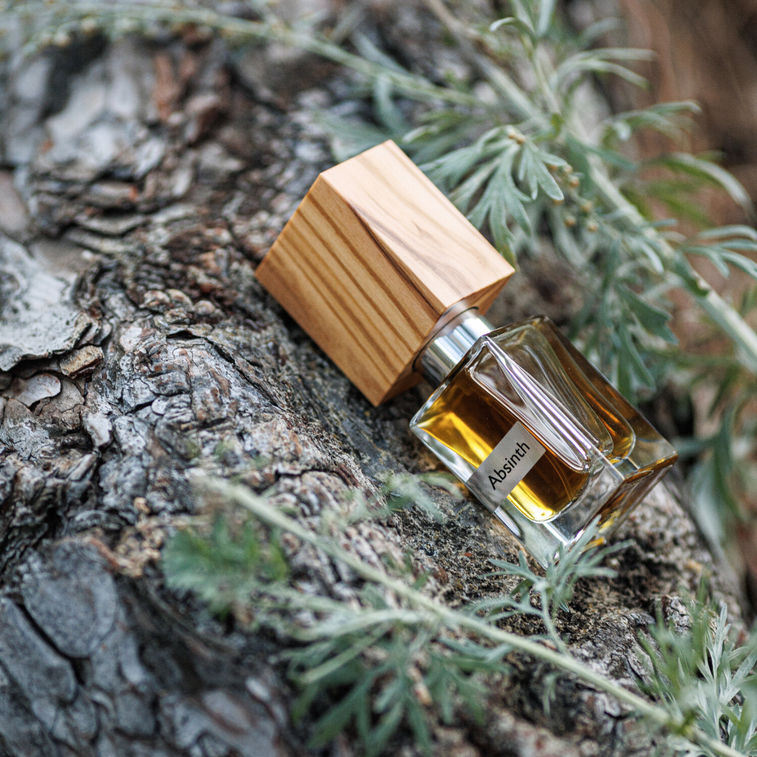 Absinth Nasomatto perfume - a fragrance for women and men 2008