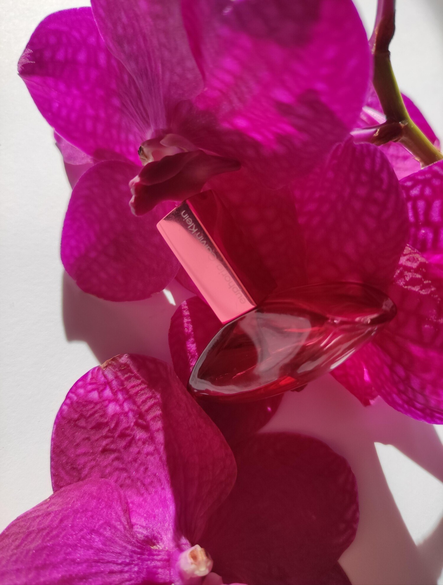 Euphoria Magnetic Elixir Calvin Klein perfume - a new fragrance for ...