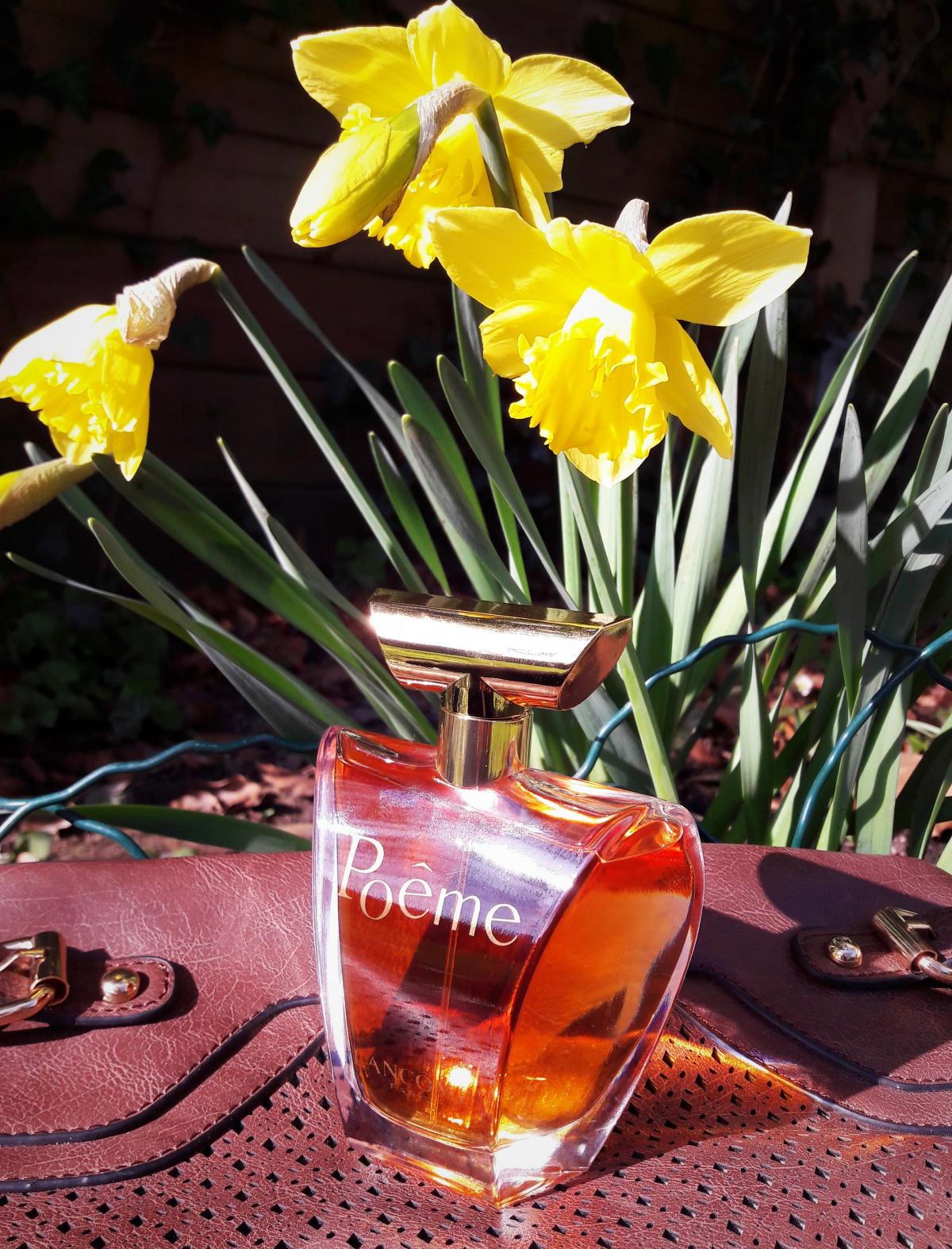 Poeme Lancome perfume - a fragrância Feminino 1995