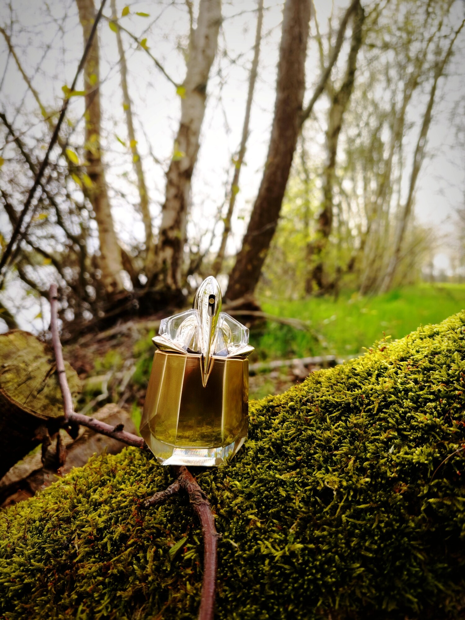 Alien Goddess Mugler perfume - a fragrance for women 2021