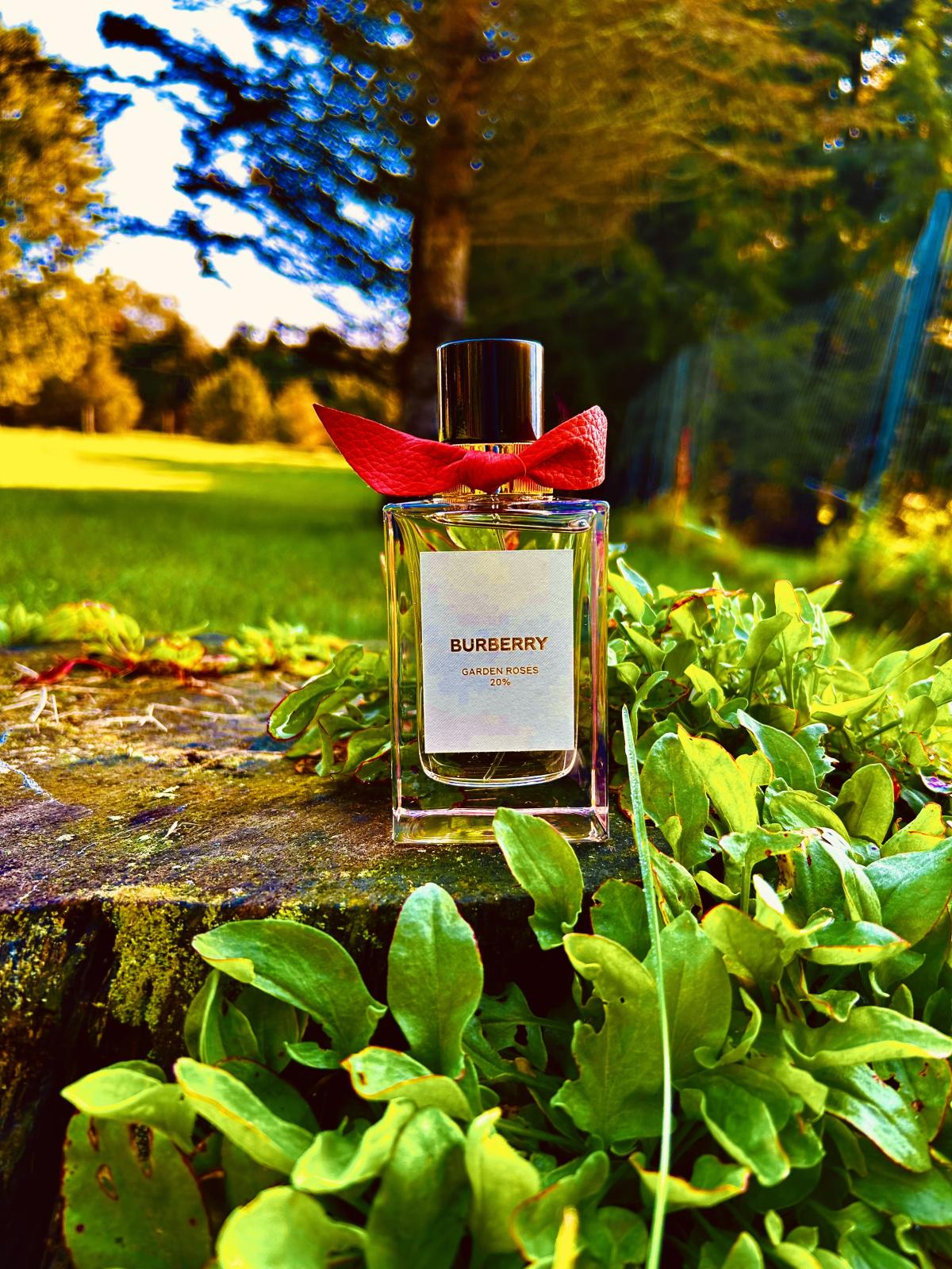 Garden Roses Burberry perfume - a fragrance for women and men 2017