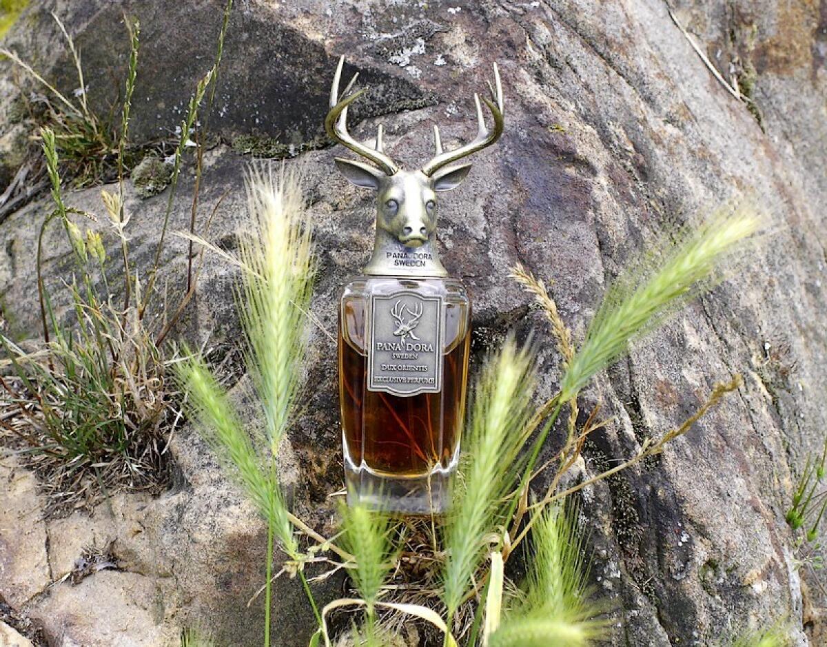 Dux Orientis Pana Dora perfume - a new fragrance for women and men 2024