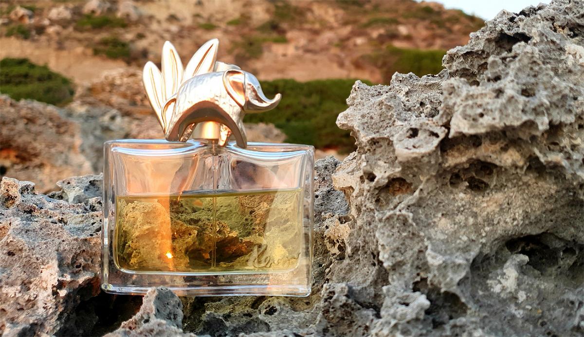 Kenzo Jungle L'Elephant Kenzo perfume - a fragrance for women 1996