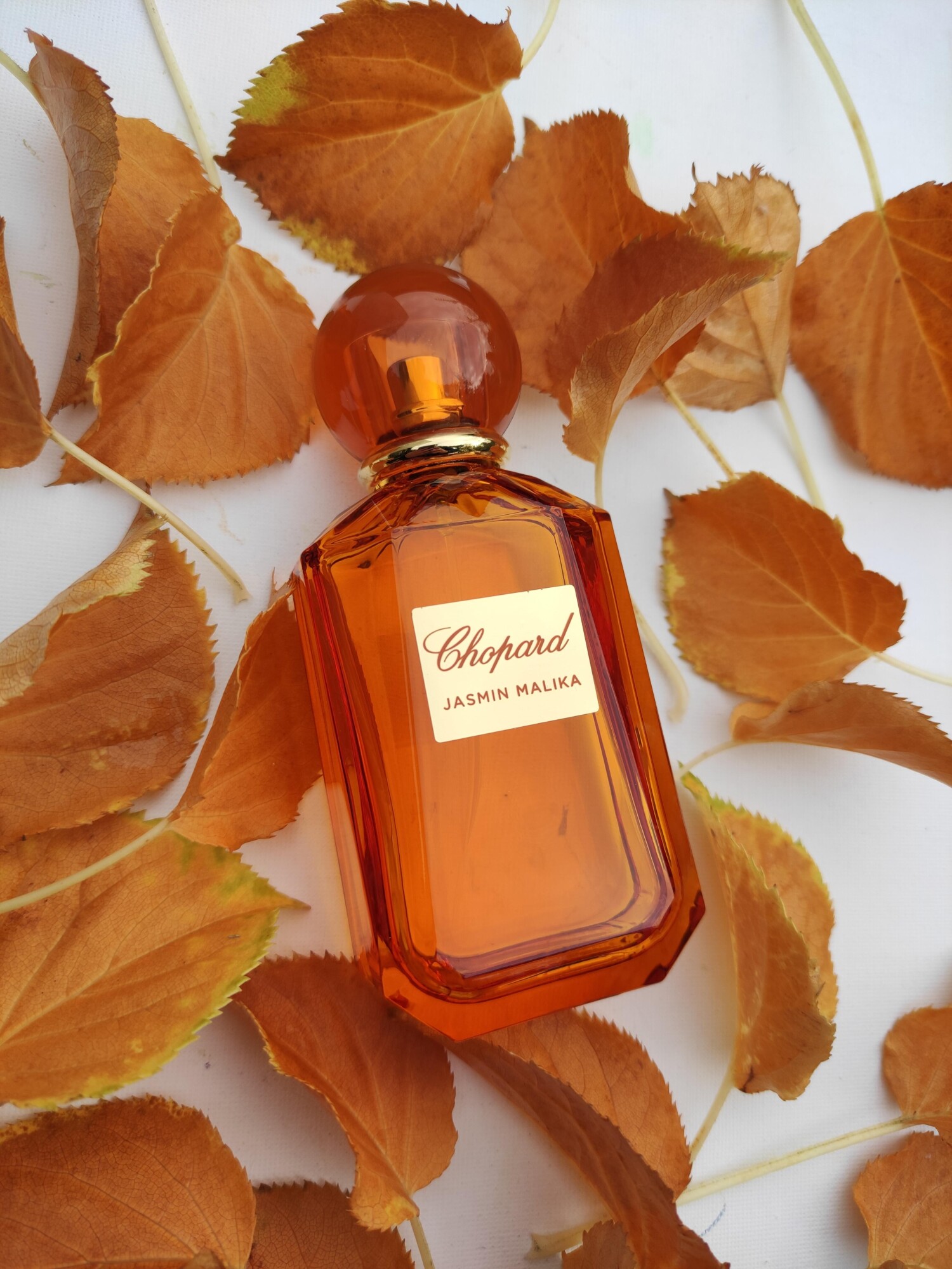 Jasmin Malika Chopard perfume - a new fragrance for women 2025