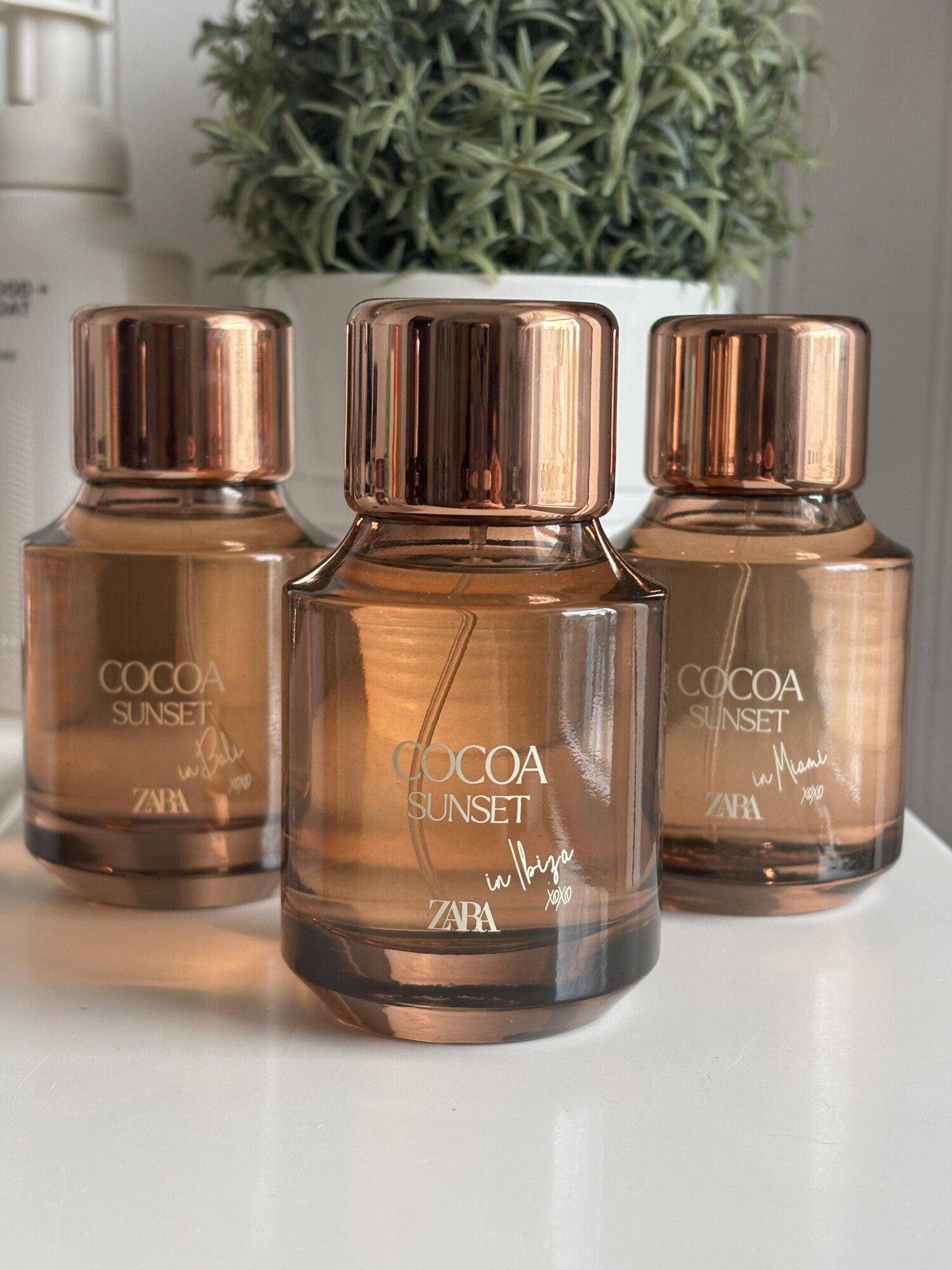 Cocoa Sunset in Ibiza Zara perfume - a new fragrance for women 2026