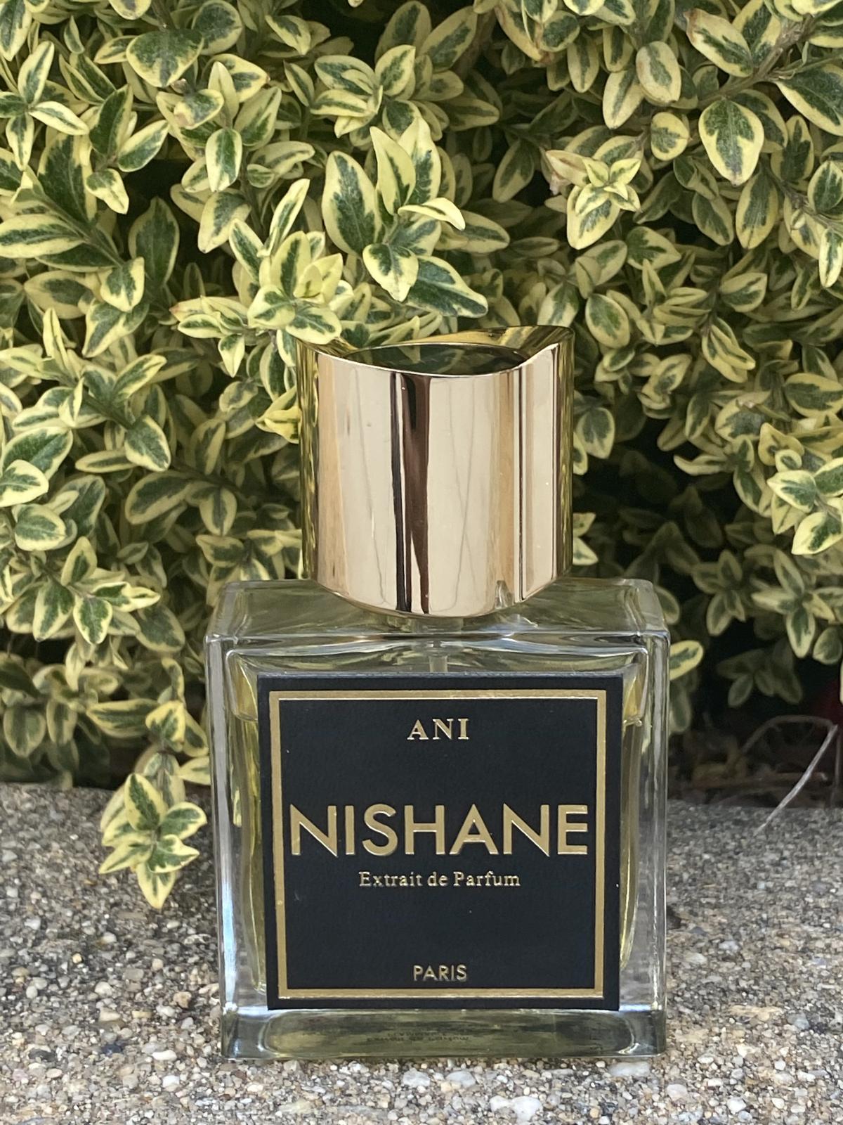 Ani Nishane perfume - a fragrance for women and men 2019