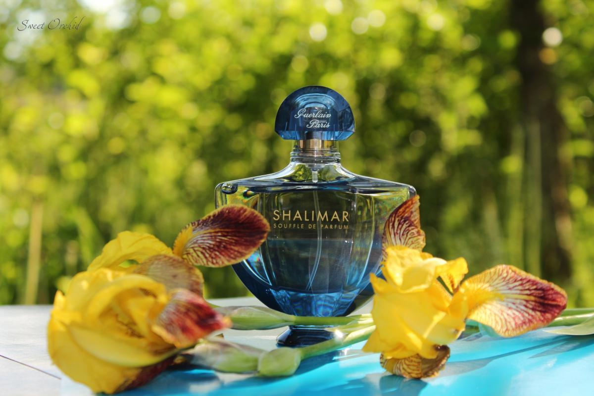 Shalimar Souffle de Parfum Guerlain perfume - a fragrance for women 2014