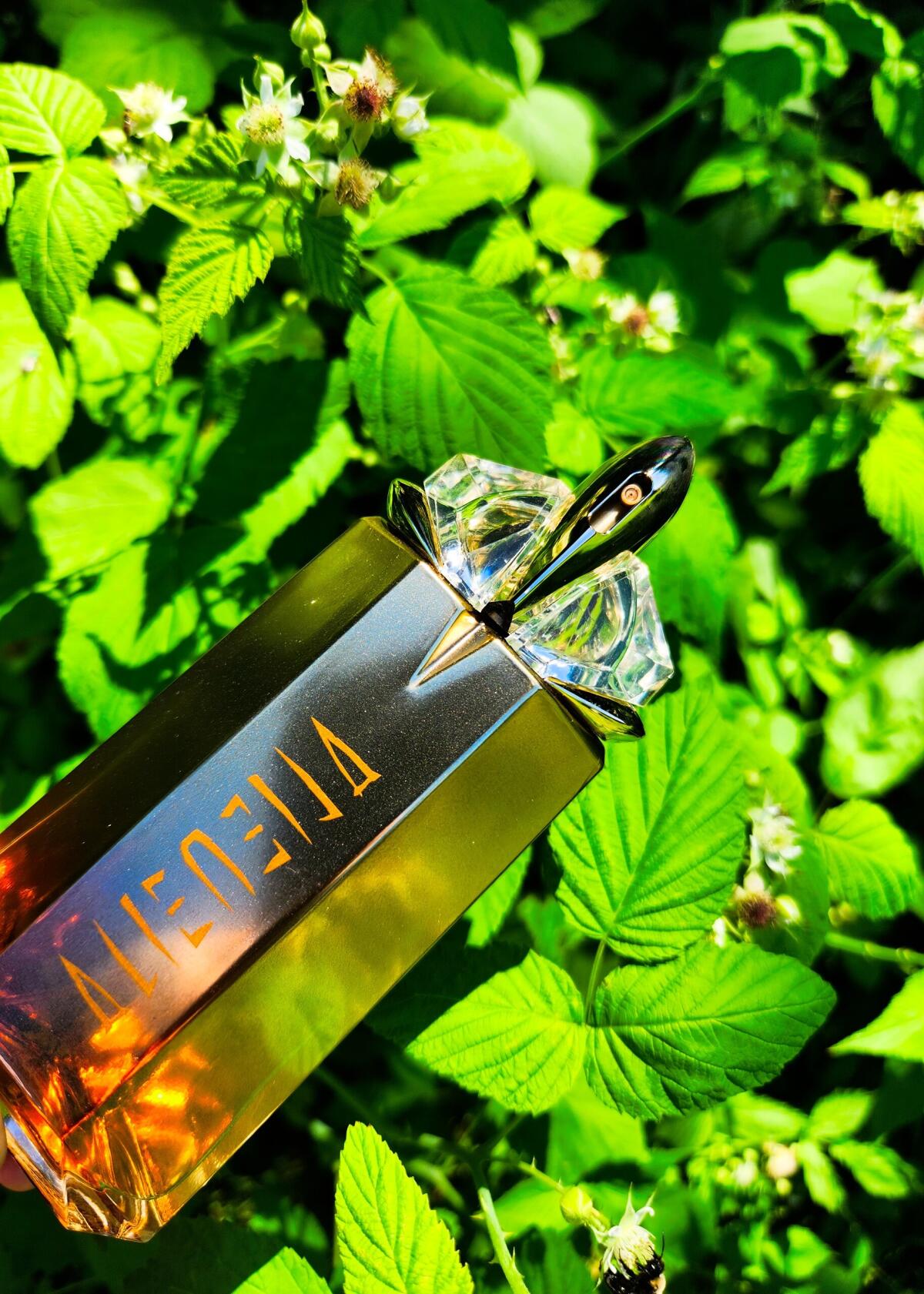 Alien Goddess Intense Mugler perfume - a new fragrance for women 2022