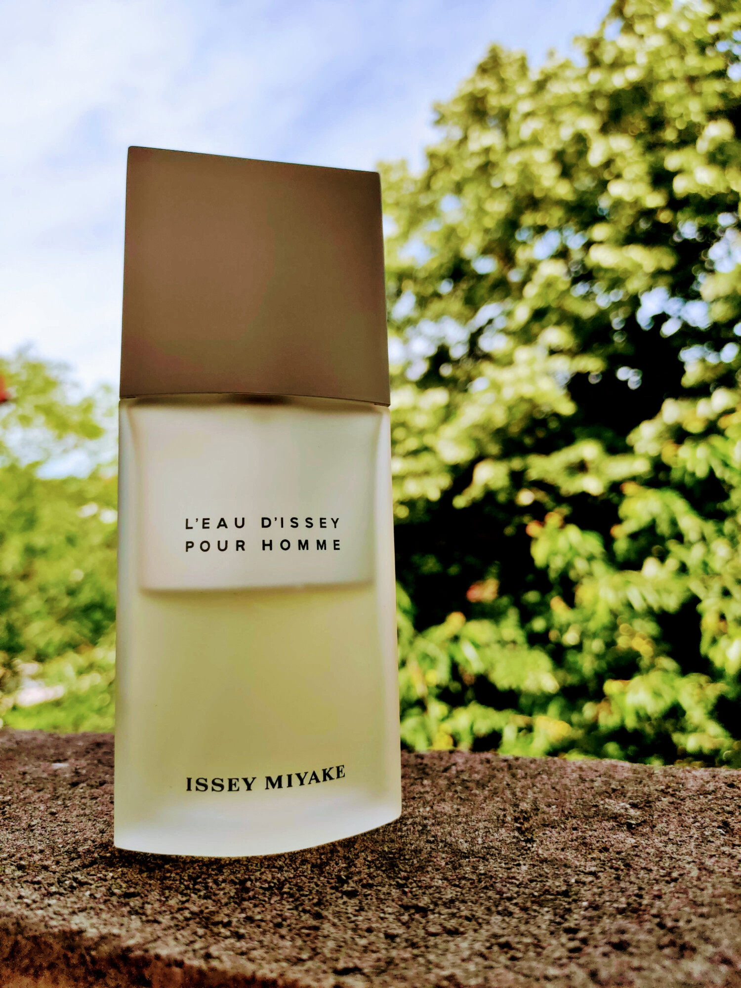 L'Eau d'Issey Pour Homme Issey Miyake cologne - a fragrance for men 1994