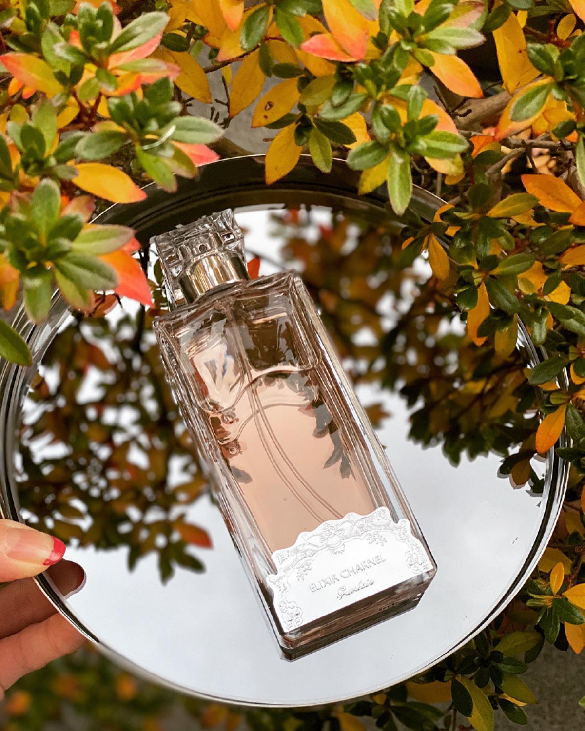 Elixir Charnel Floral Romantique Guerlain perfume - a fragrance for ...