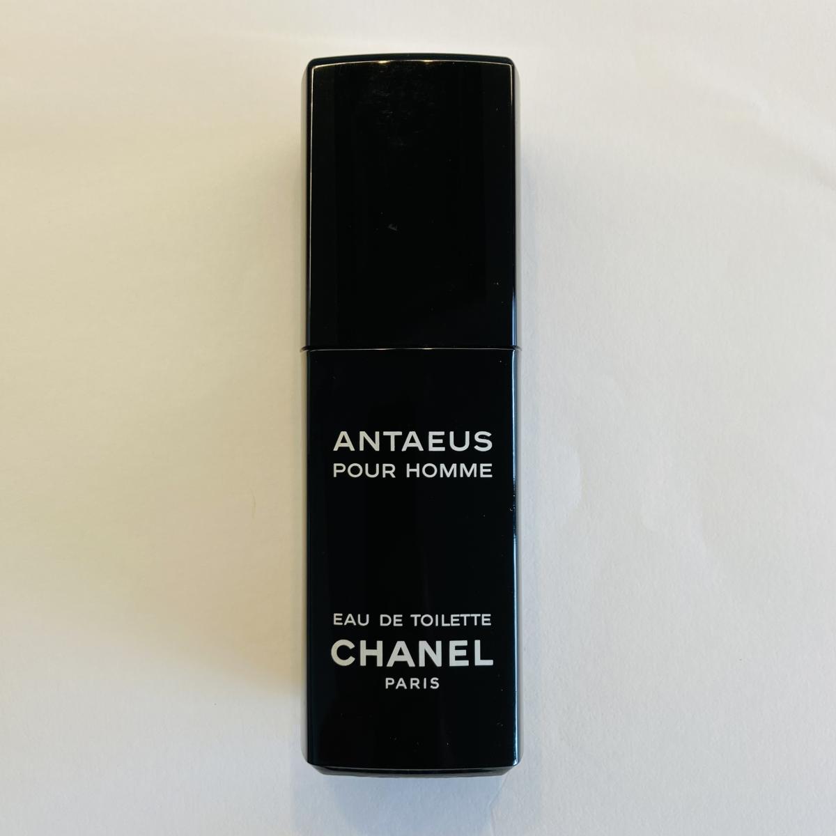 Antaeus Chanel cologne - a fragrance for men 1981