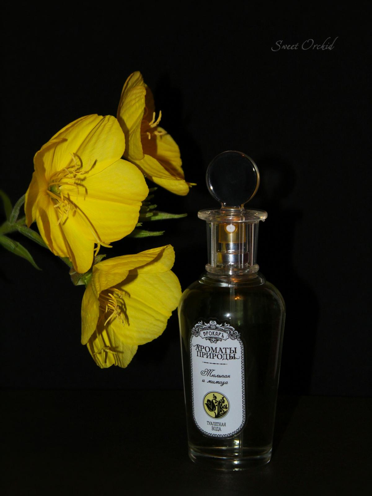 Тюльпан и мимоза - Tulip and Mimosa Brocard аромат — аромат для женщин 2018