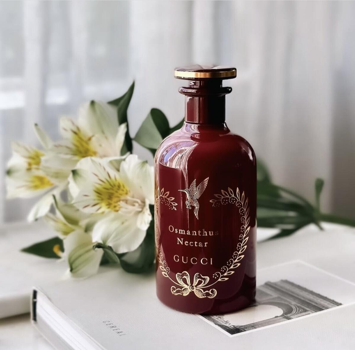 Osmanthus Nectar Gucci perfume - a new fragrance for women and men 2025