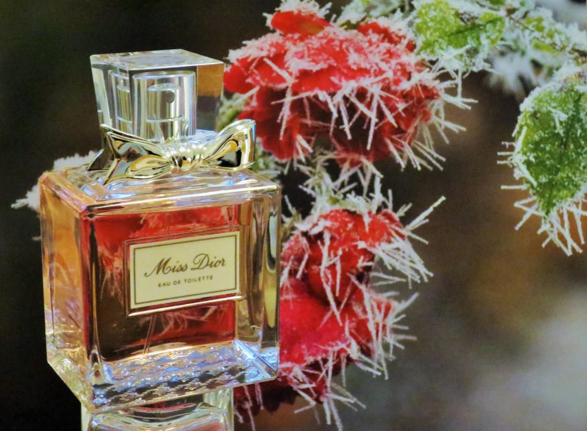 Miss Dior Eau de Toilette 2019 Dior perfume - a fragrance for women 2019