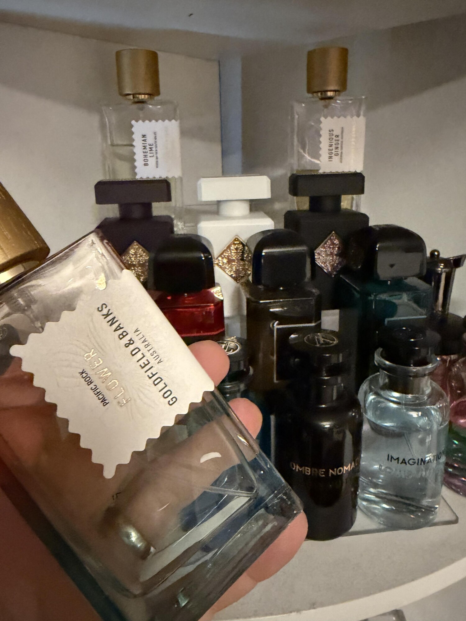 Pacific Rock Moss Goldfield & Banks Australia perfume - a fragrance for ...