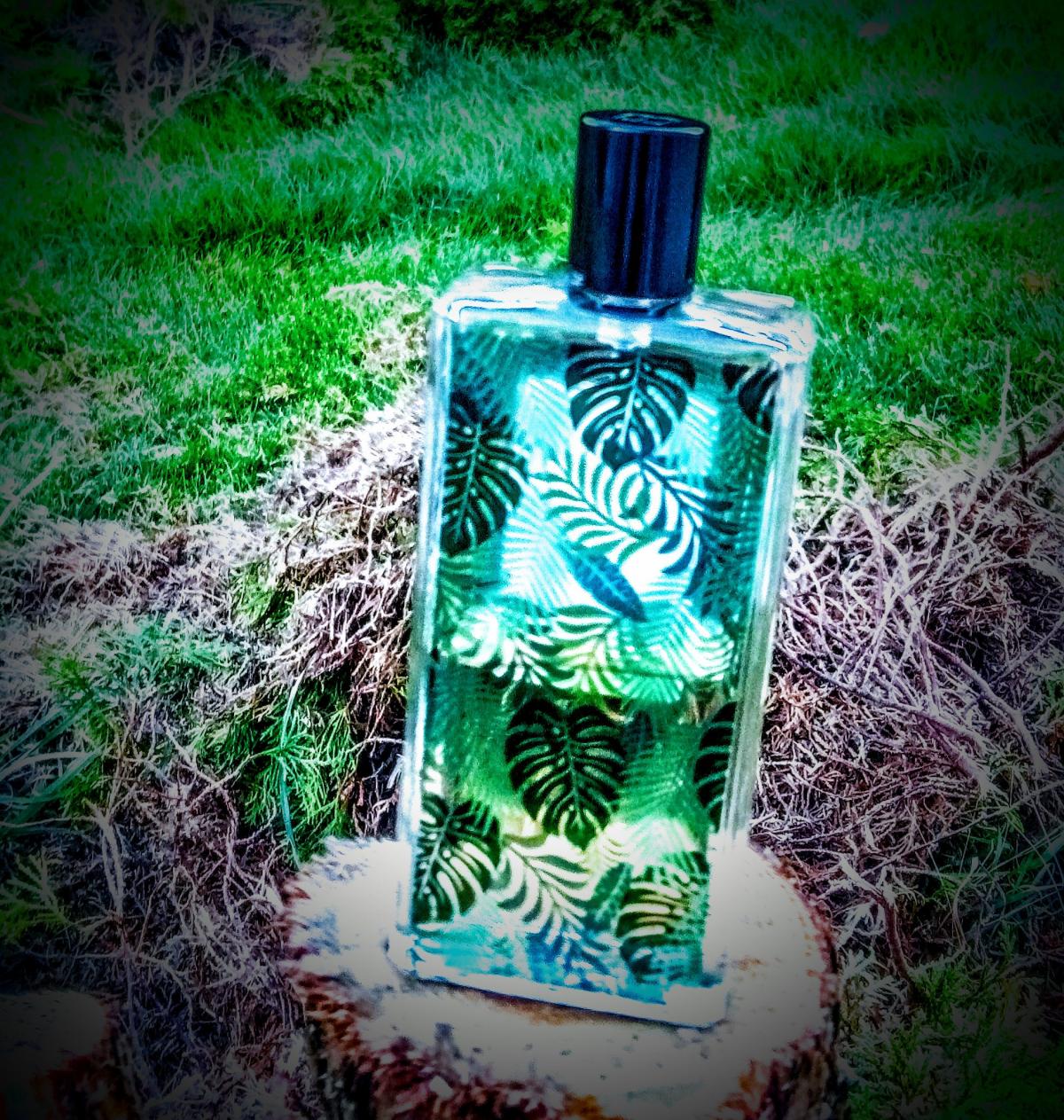 Selva do Brazil Parfums Berdoues perfume - a fragrance for women and ...