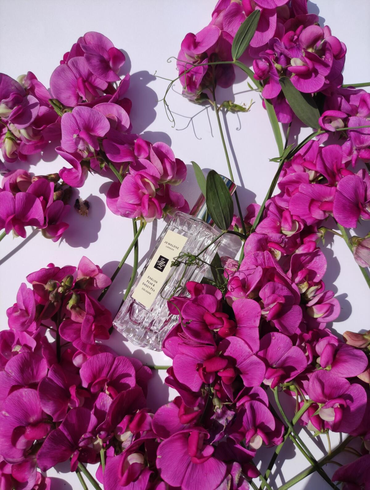 English Pear & Sweet Pea Jo Malone London perfume - a new fragrance for ...