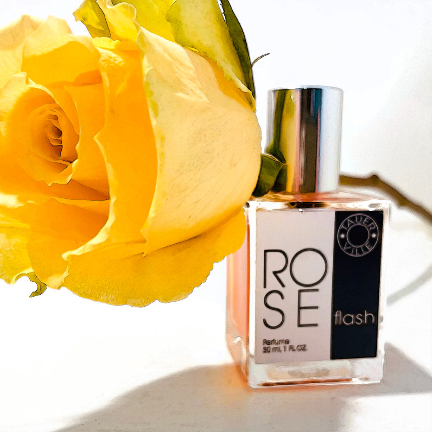 Rose Flash Tauerville perfume - a fragrância Compartilhável 2014