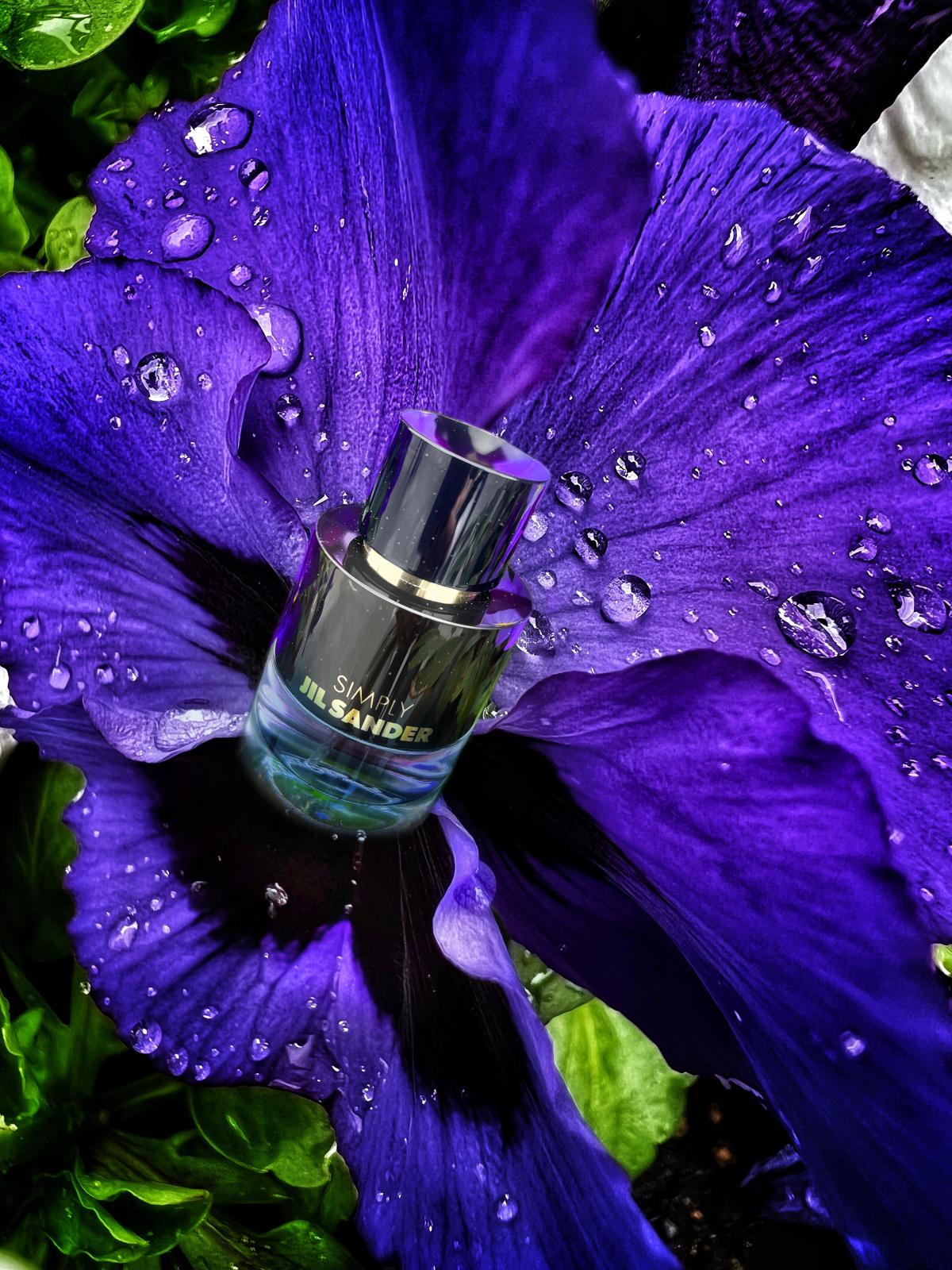 Simply Jil Sander Touch of Violet Jil Sander сүрчиг - a сүрчиг эмэгтэй 2016